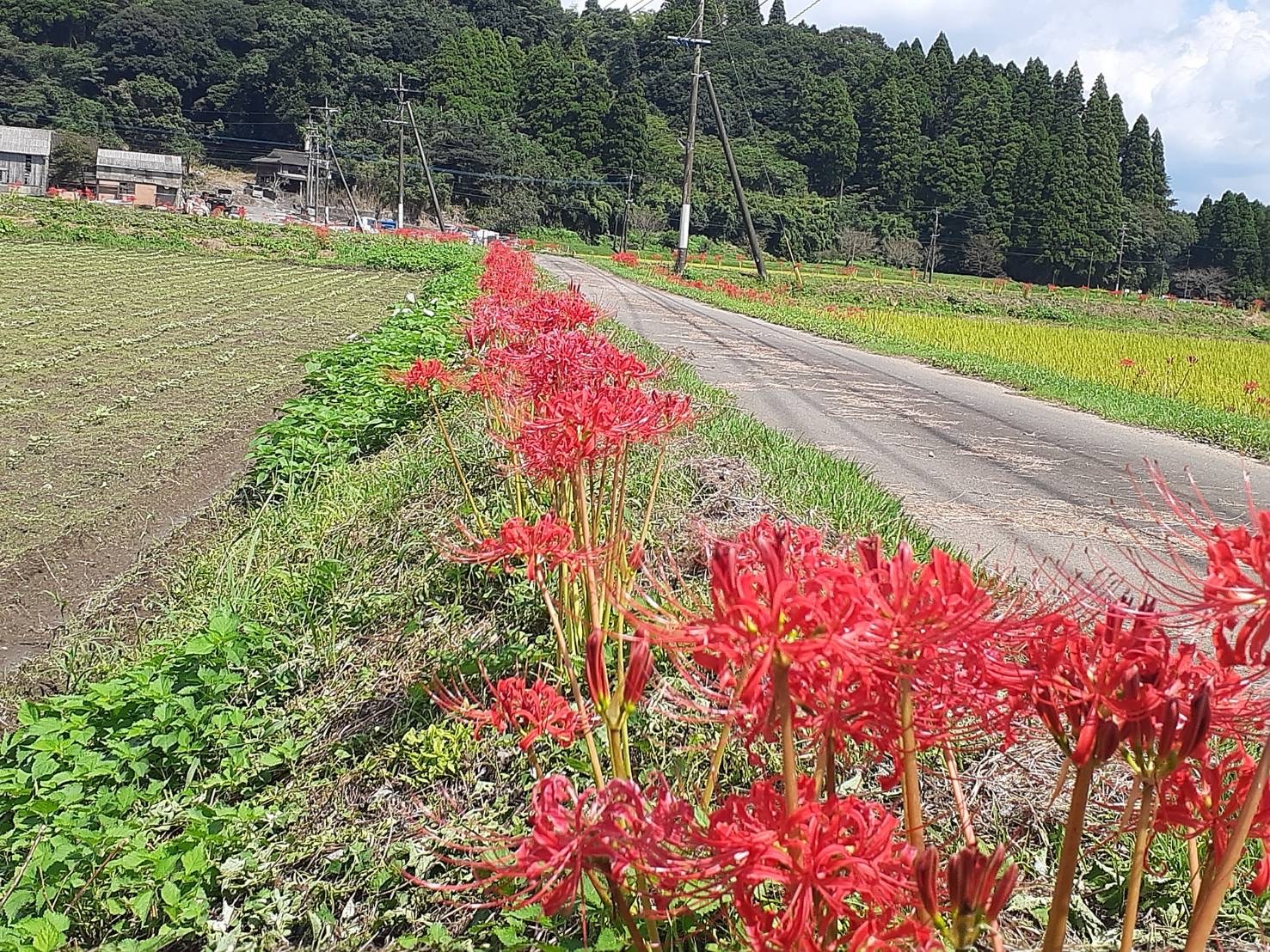 ニュース・スポーツ | KTS鹿児島テレビ