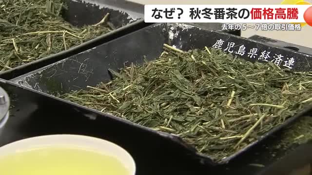 ニュース・スポーツ | KTS鹿児島テレビ