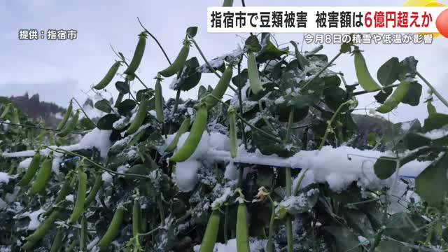 ニュース・スポーツ | KTS鹿児島テレビ