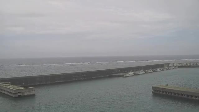 ニュース・スポーツ | KTS鹿児島テレビ