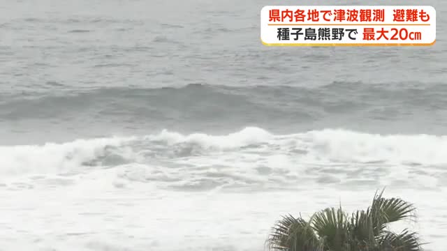 ニュース・スポーツ | KTS鹿児島テレビ
