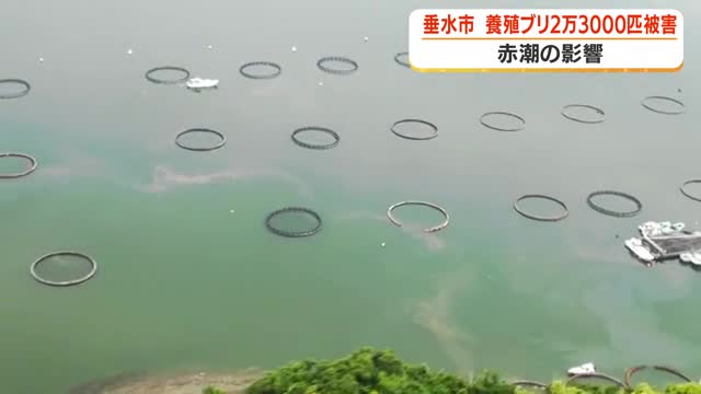 ニュース・スポーツ | KTS鹿児島テレビ