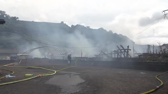 ニュース・スポーツ | KTS鹿児島テレビ